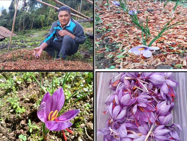 We have 302 guests and no members online